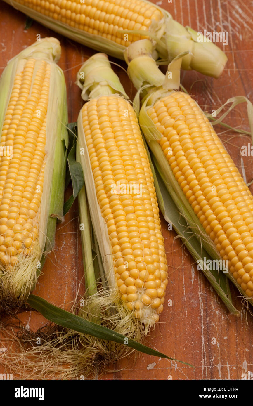 corn cobs treated on the table Stock Photo - Alamy