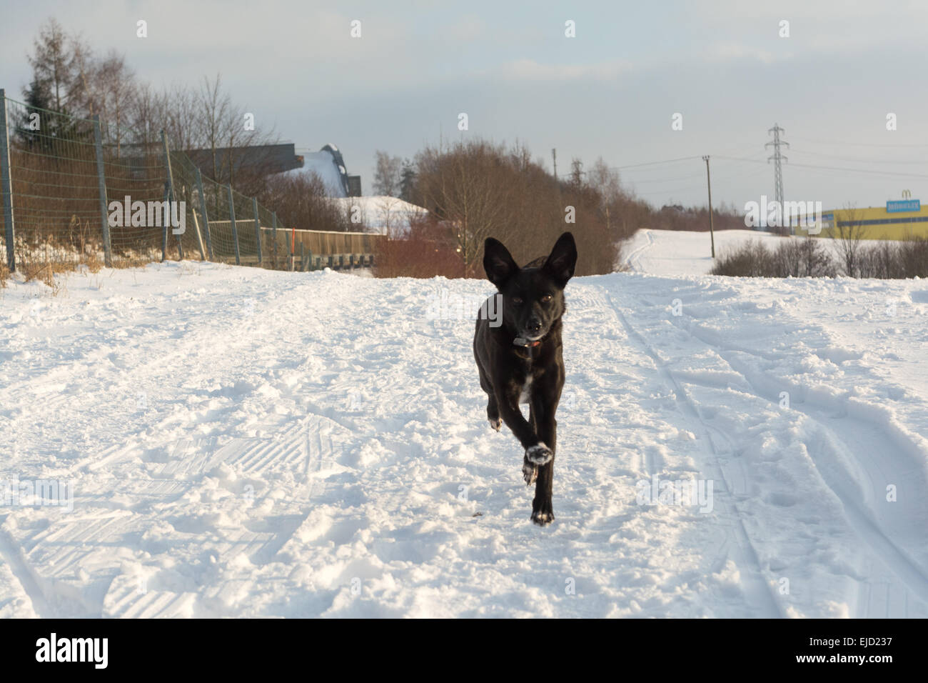 Black power movement hi-res stock photography and images - Alamy