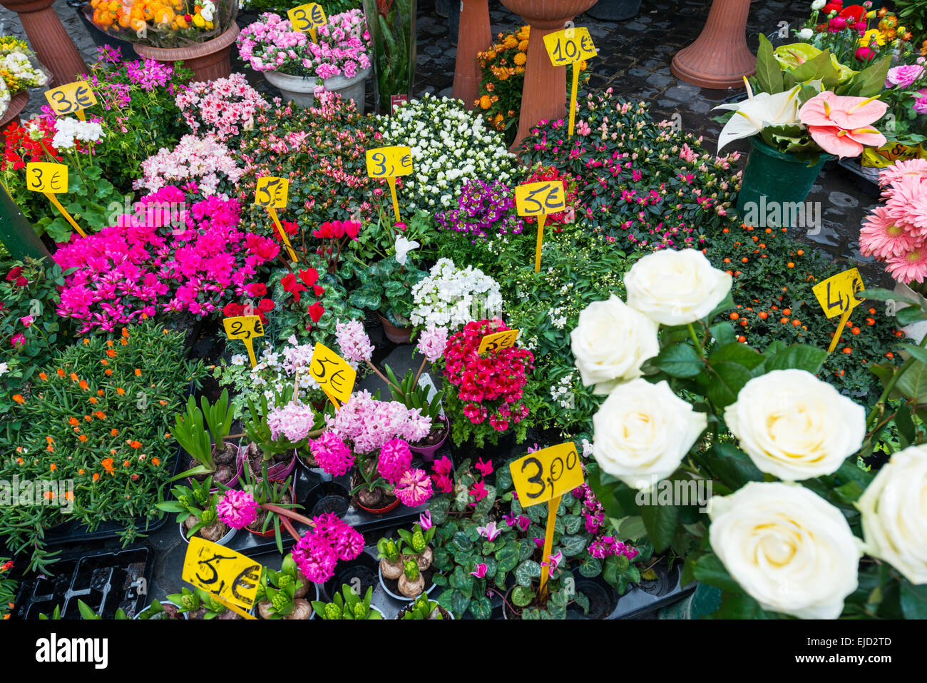 Street flower shop with colourful flowers Stock Photo - Alamy