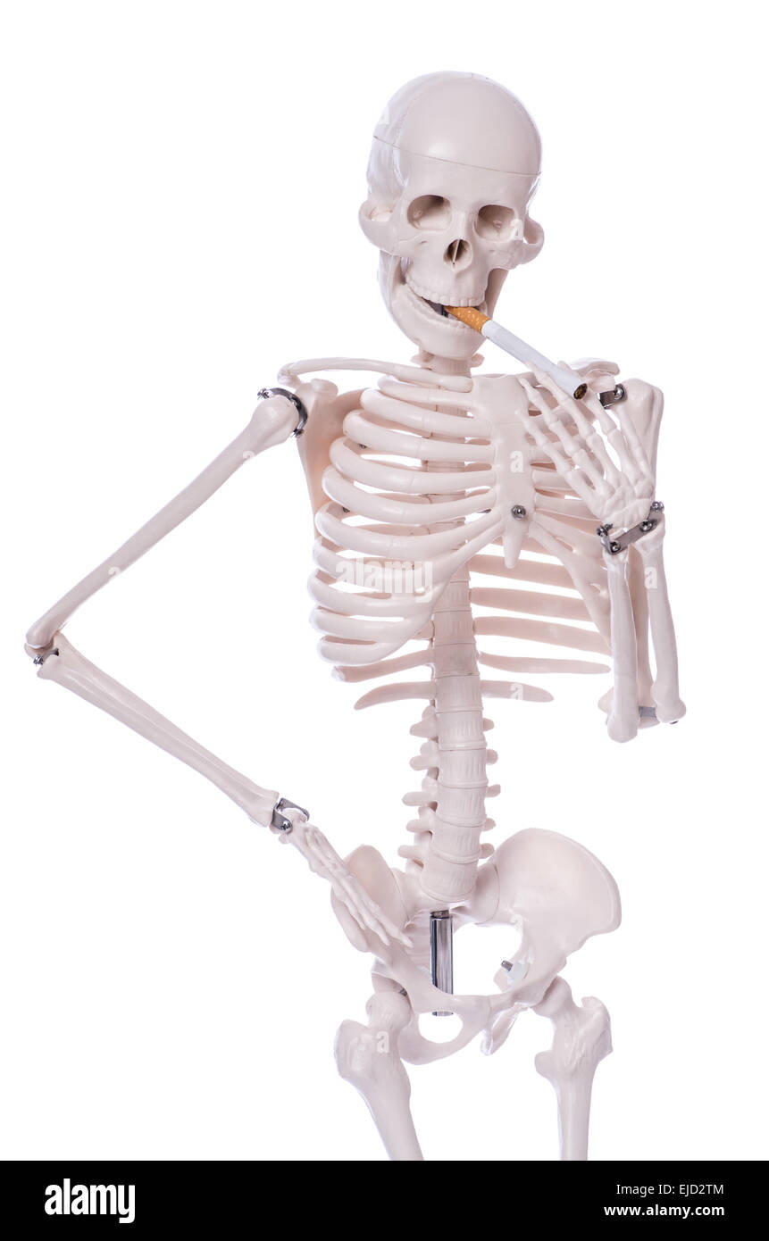 Skeleton smoking cigarette isolated on white Stock Photo - Alamy
