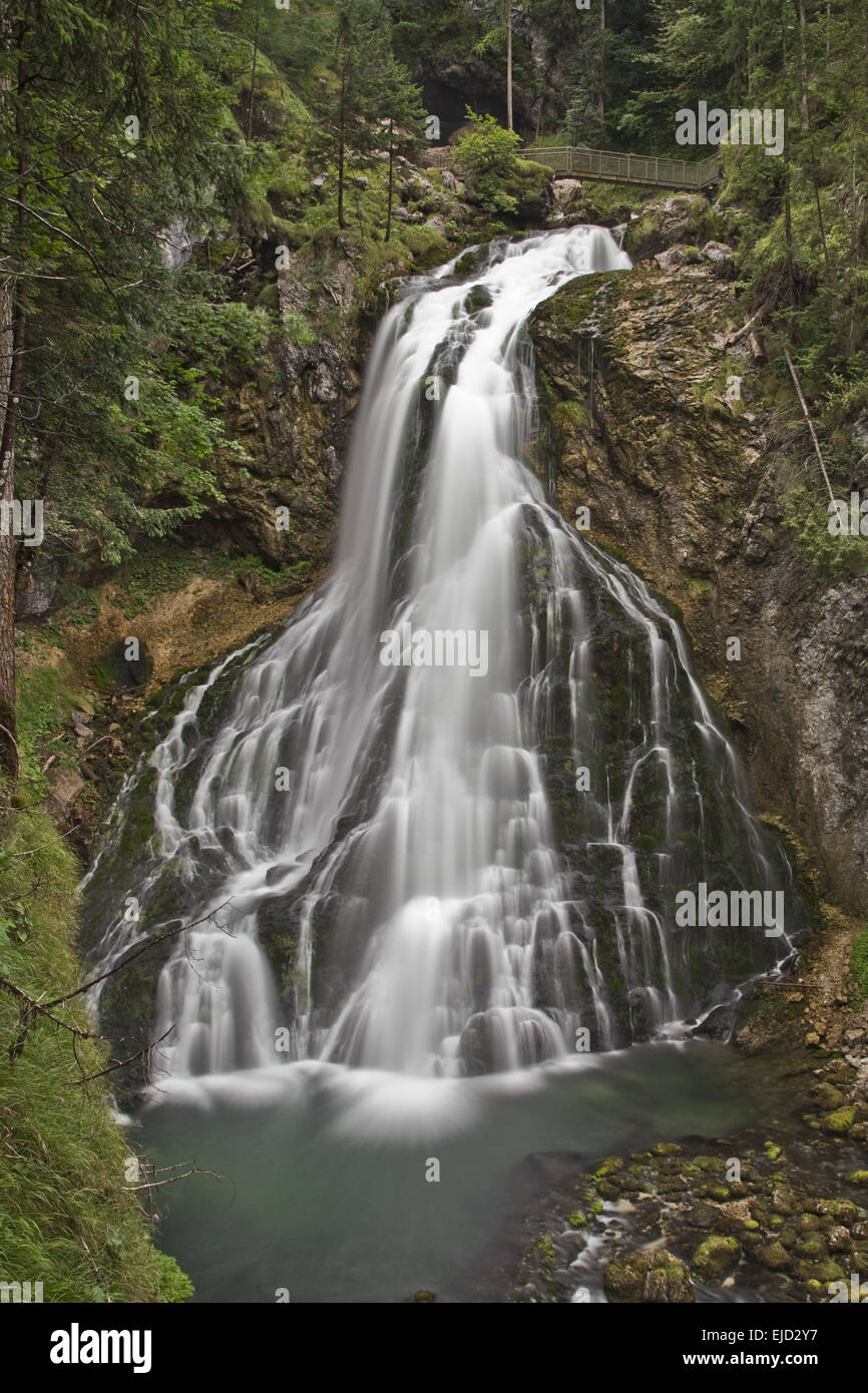 Gollinger w hi-res stock photography and images - Alamy