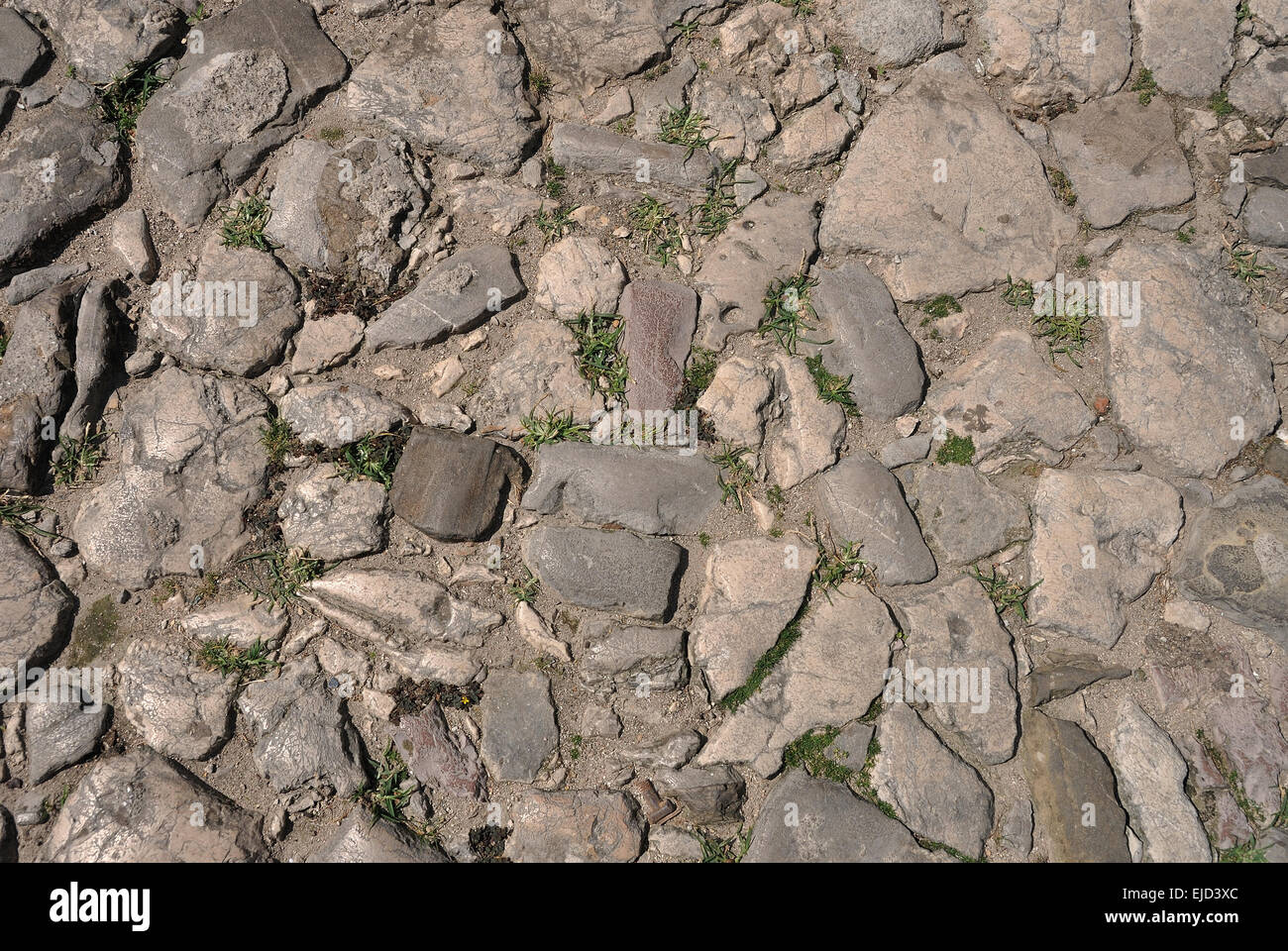 Rough stone path hi-res stock photography and images - Alamy