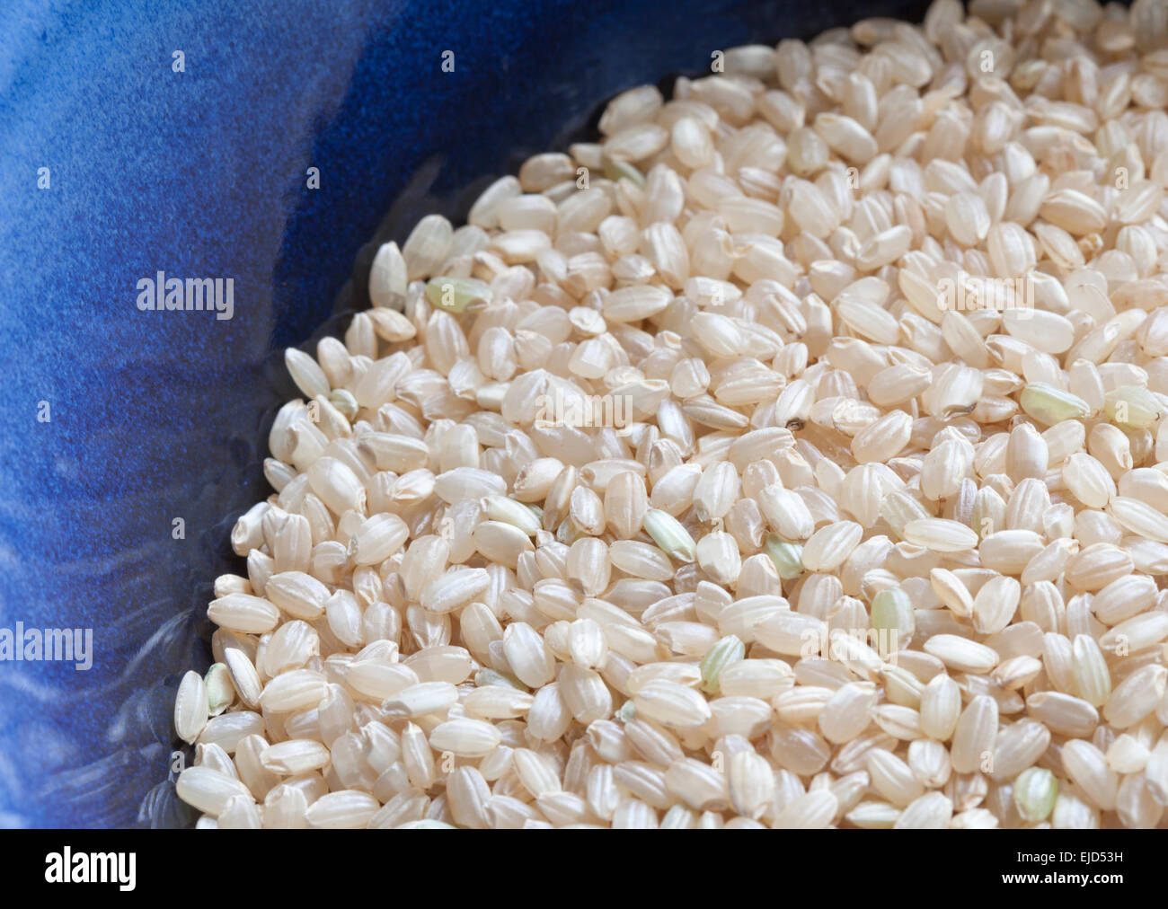 Short grain brown rice hi-res stock photography and images - Alamy