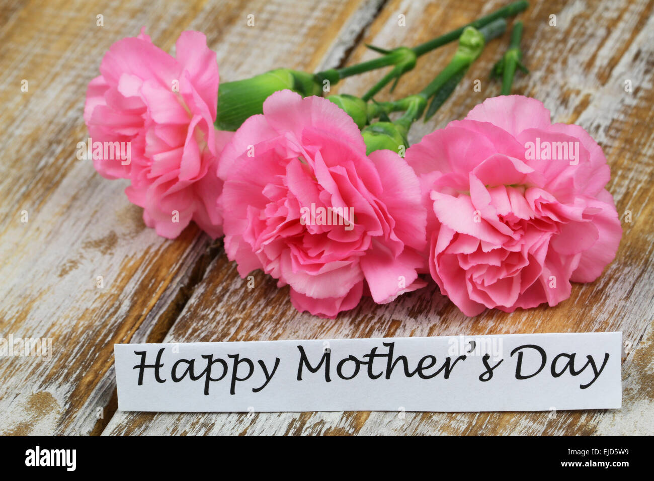 Mothers Day Carnation Bouquet