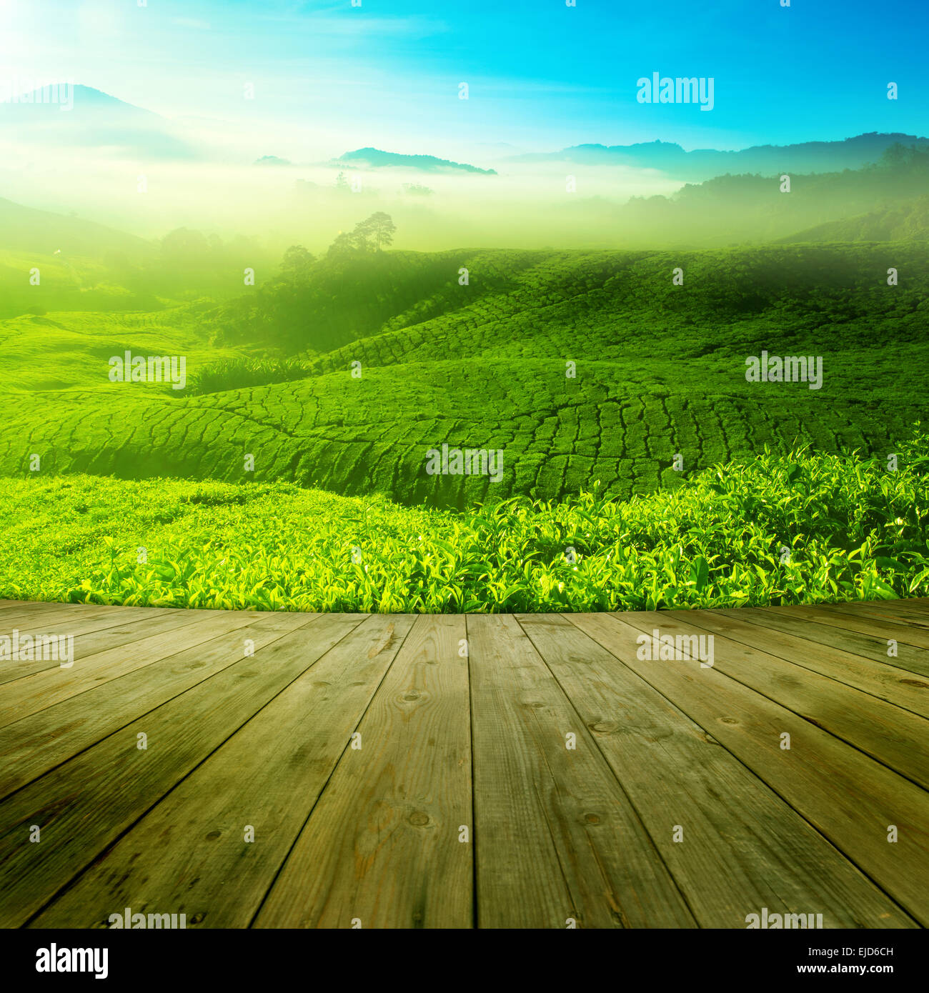 Wooden floor sunrise view tea hi-res stock photography and images - Alamy