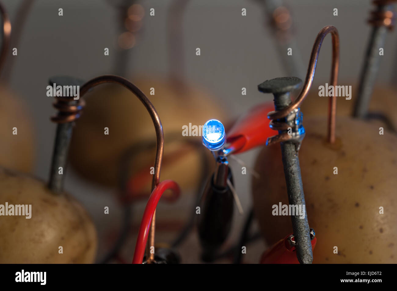 alternative energy source electrical current of potato arranged is ...