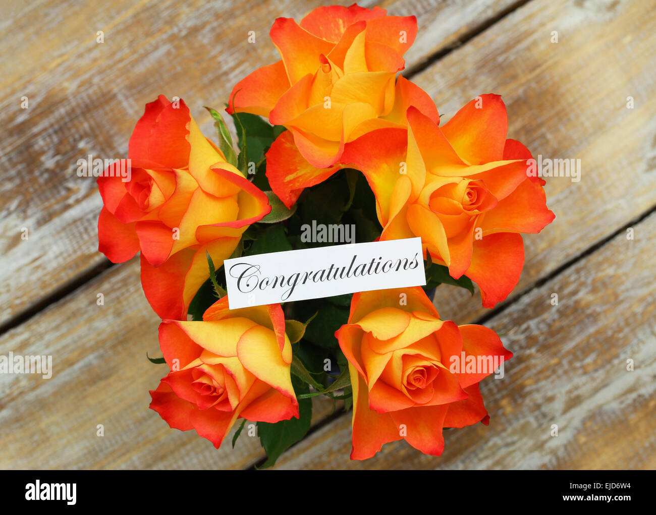 Congratulations card with orange roses bouquet Stock Photo - Alamy