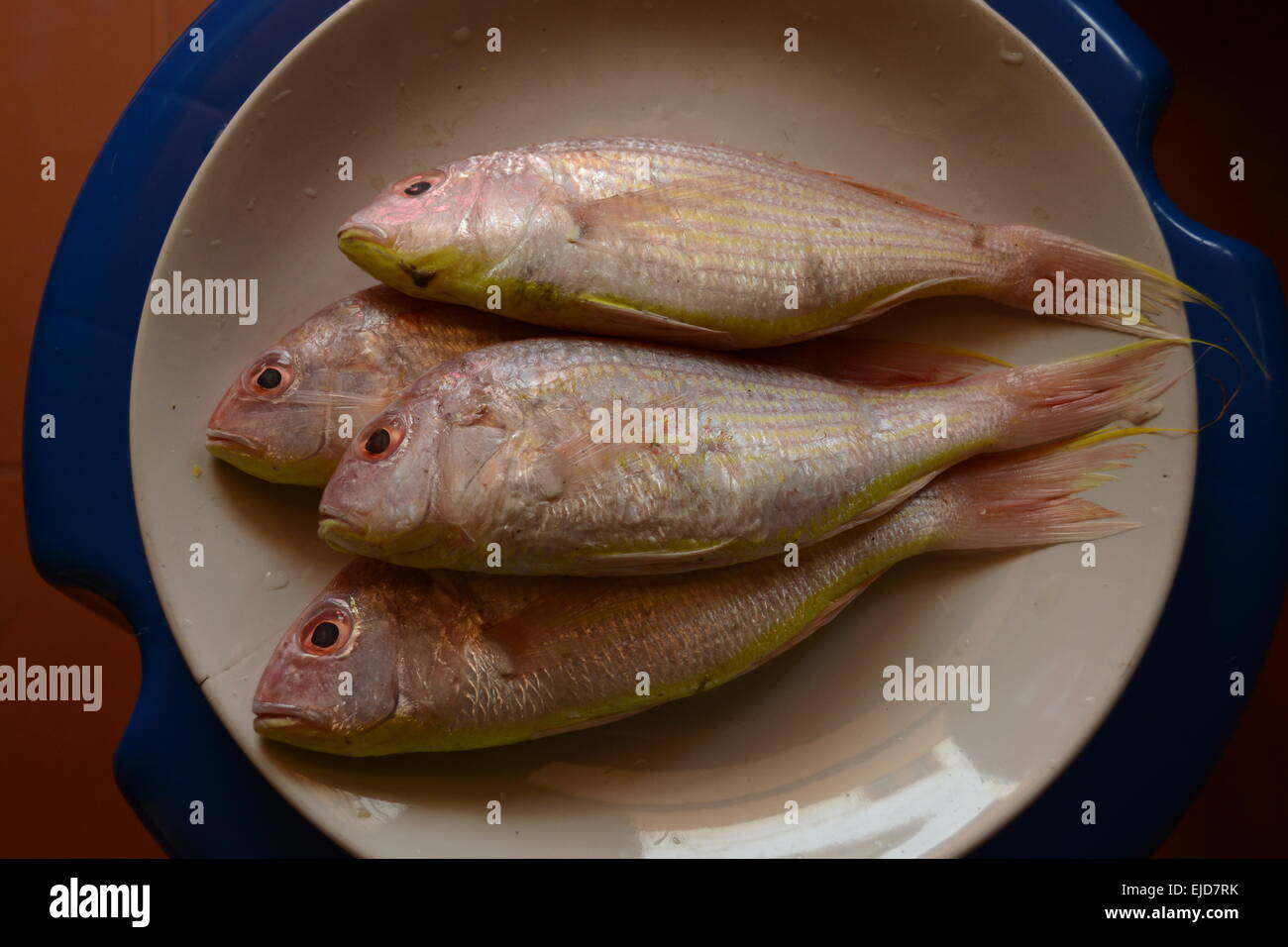 Different concepts and ideas Stock Photo - Alamy