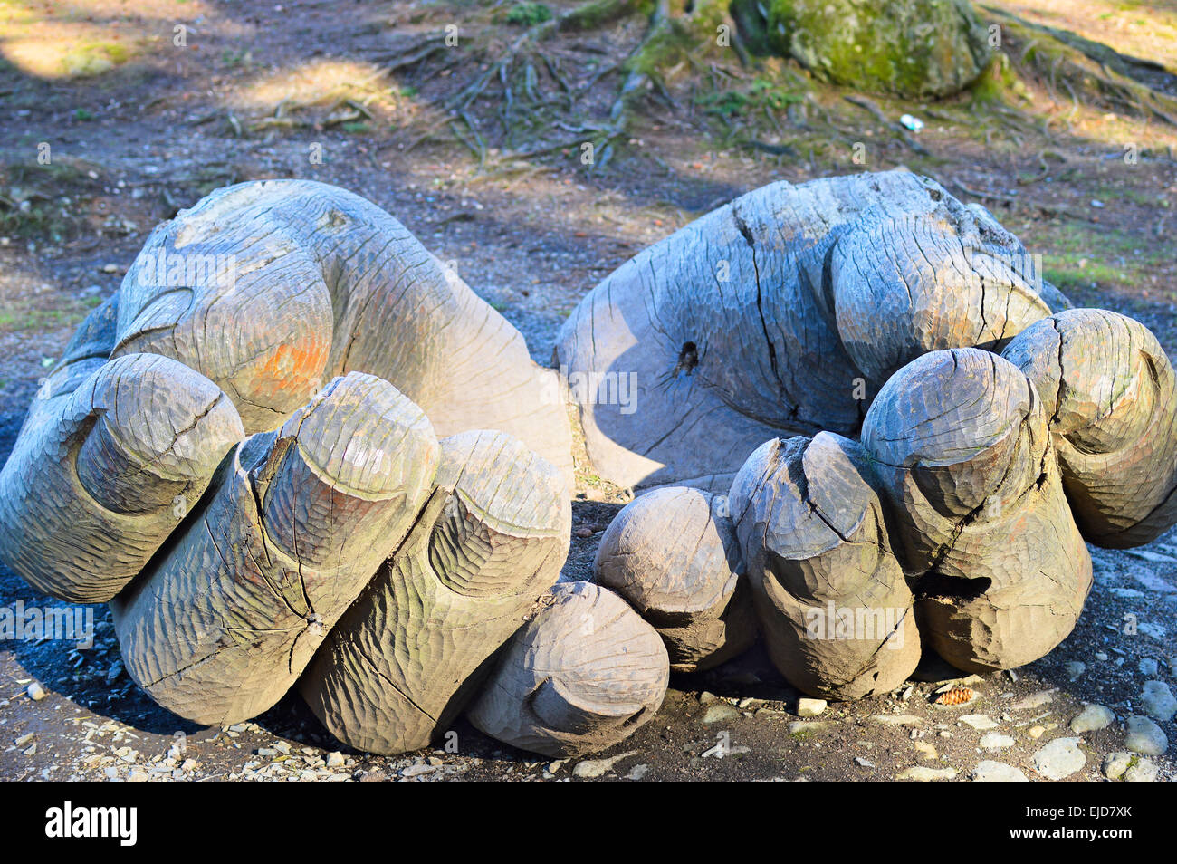 Entrust wooden hand sculpture by John Merrill on side of Derwentwater ...