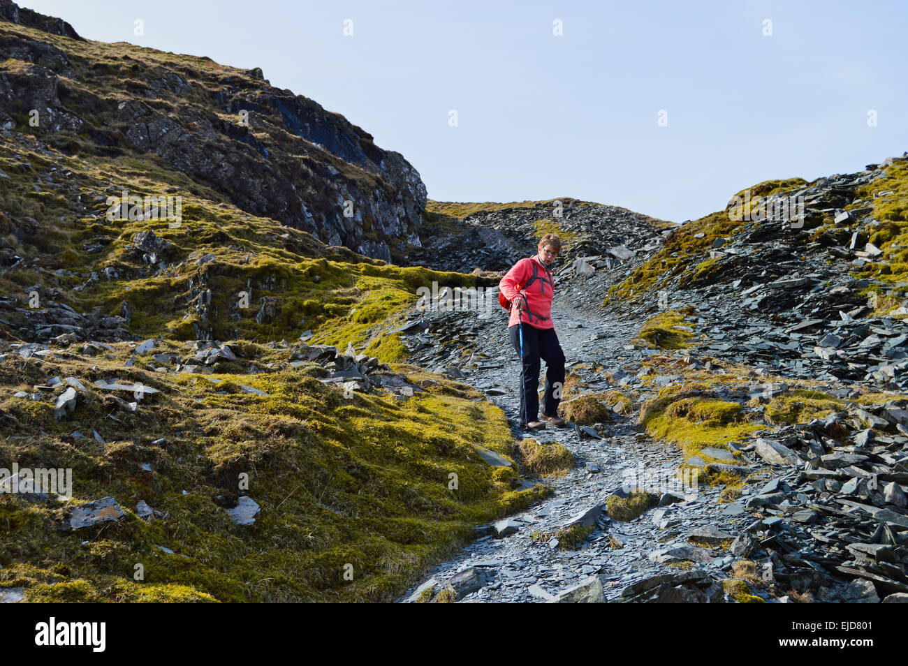 Walker coming down from High Spy in the Lake District Stock Photo - Alamy