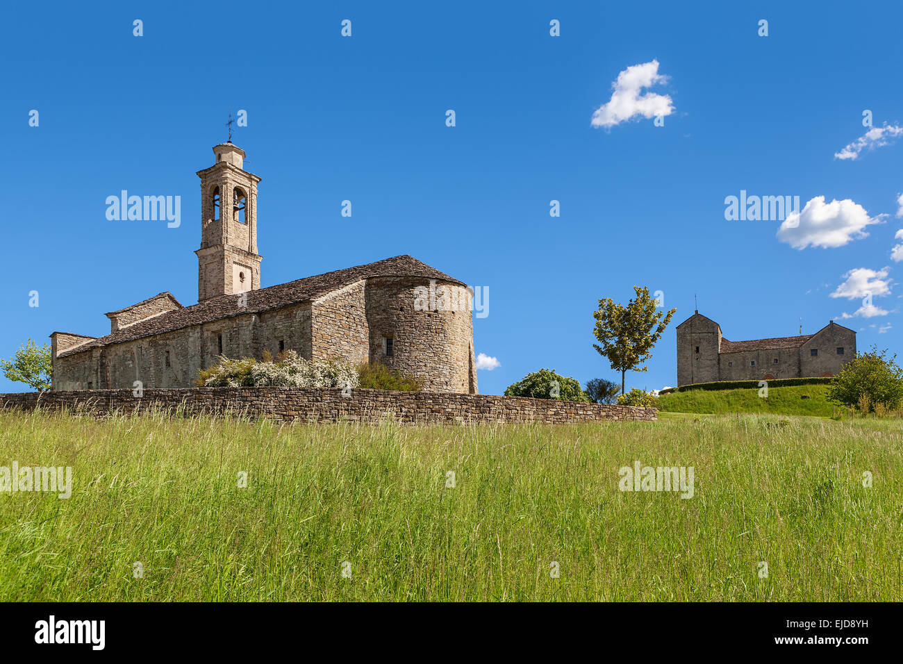 Field with high green grass and old stone church under blue sky in ...