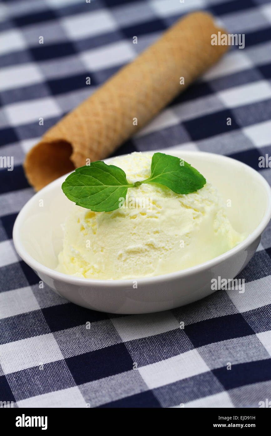 Vanilla ice cream garnished with organic mint and wafer on checkered ...