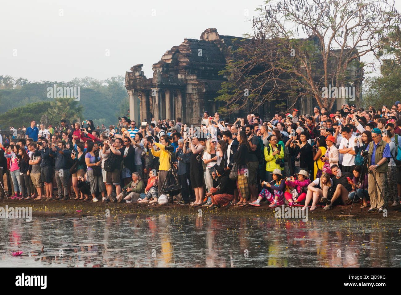 Cambodia, Siem Reap, Angkor Wat, Tourist Crowds at Sunrise Stock Photo ...