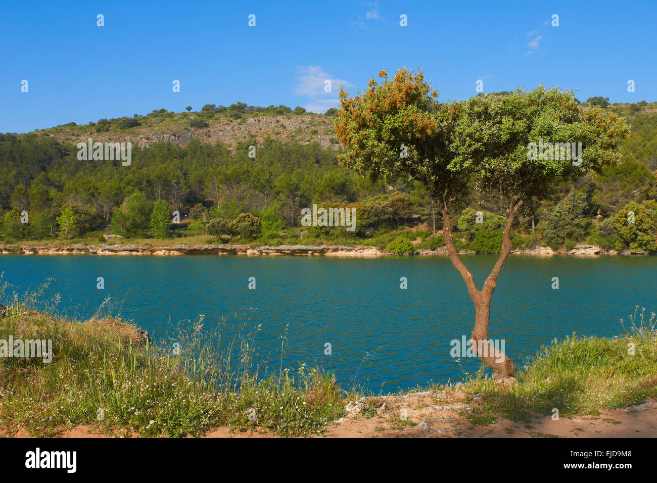 Lagunas de ruidera natural park hi-res stock photography and images - Alamy