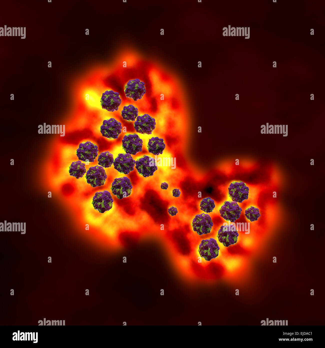 Norovirus infection hi-res stock photography and images - Alamy