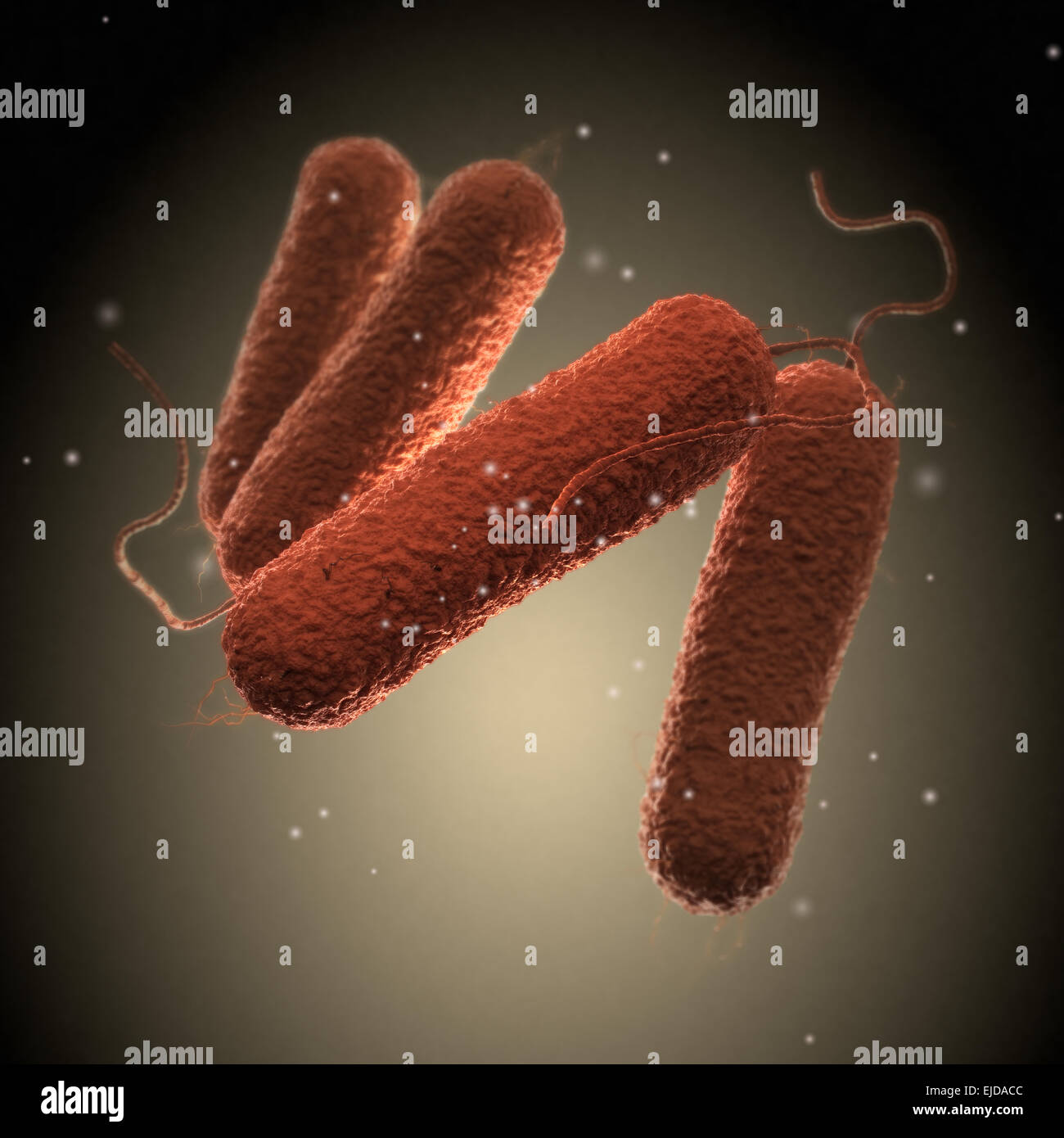 Salmonella Under Microscope Labeled