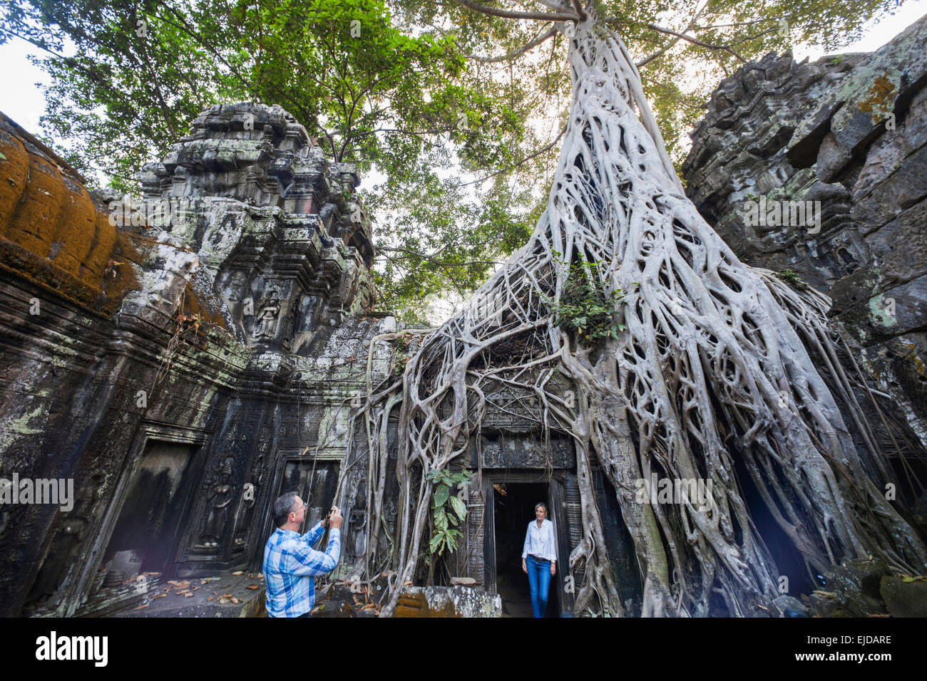 Cambodia, Siem Reap, Angkor Wat, Ta Prohm Temple Stock Photo - Alamy