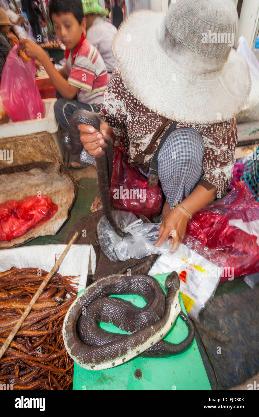 Cambodia, Siem Reap, Market Scene, Snake Vendor Stock Photo - Alamy
