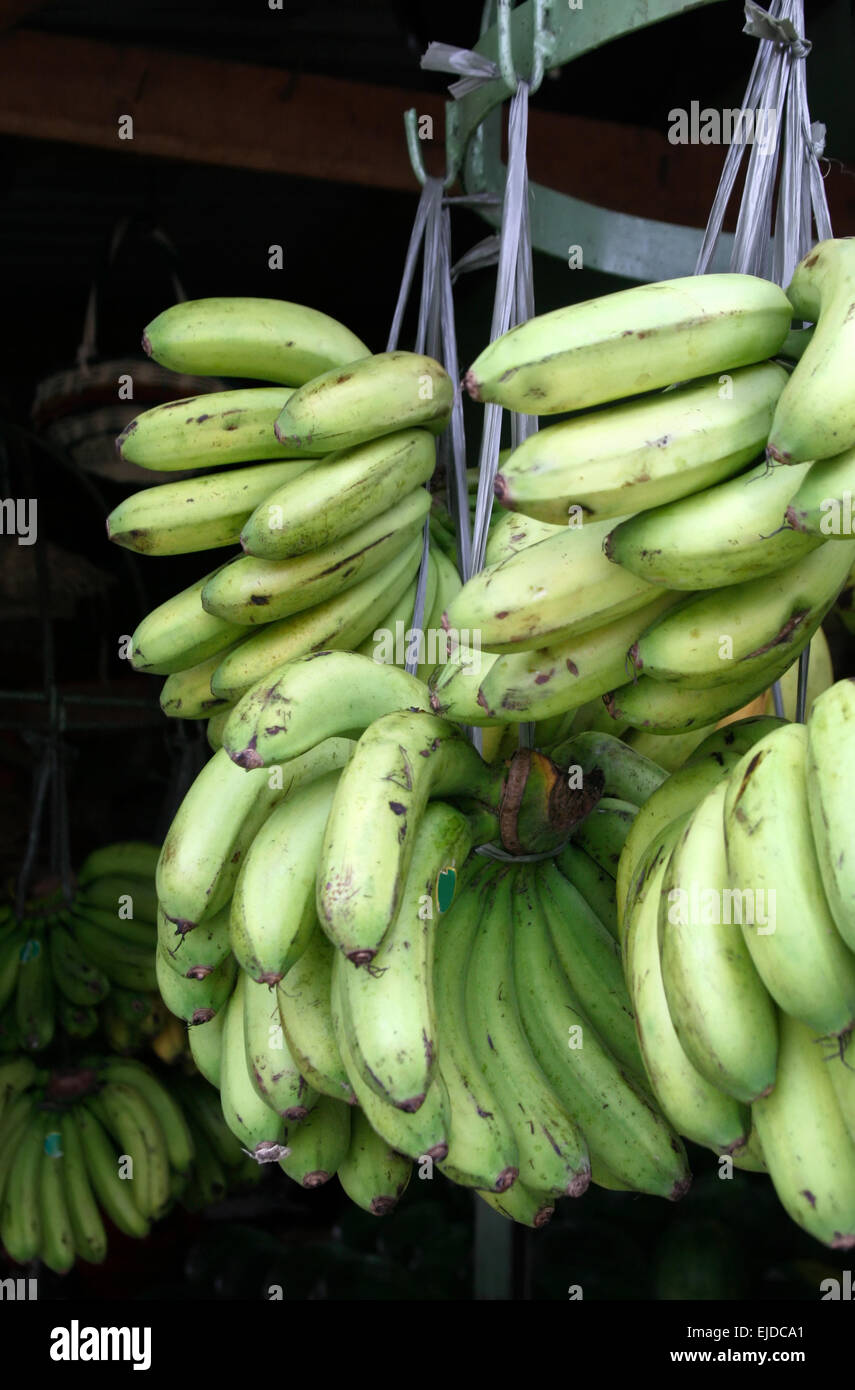 Large bunch of bananas hi-res stock photography and images - Alamy