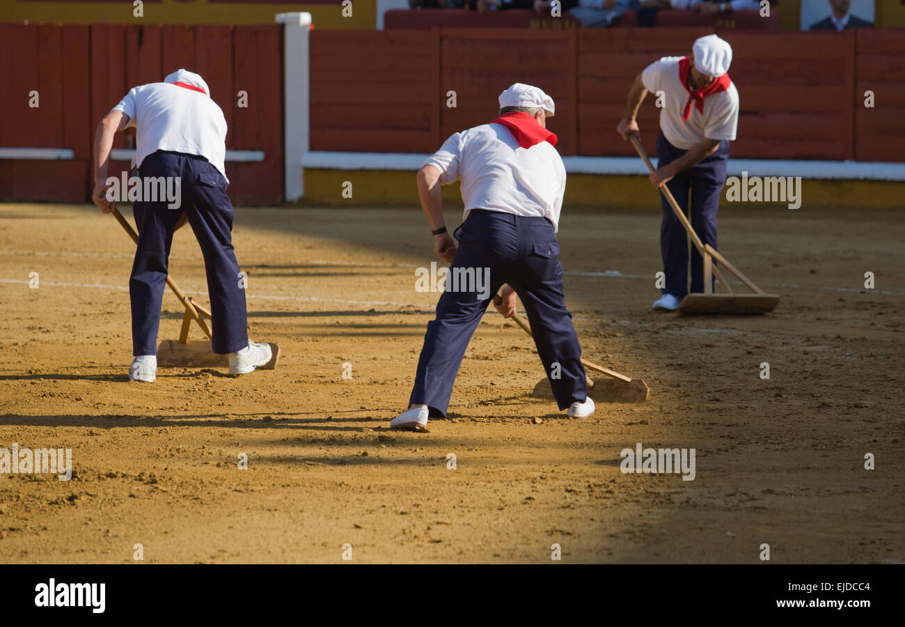 Assistants cleaning and raking the sand before the bullfighting round ...