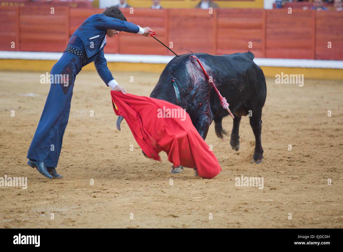 The torero fights in the welfare bullfight hi-res stock photography and ...