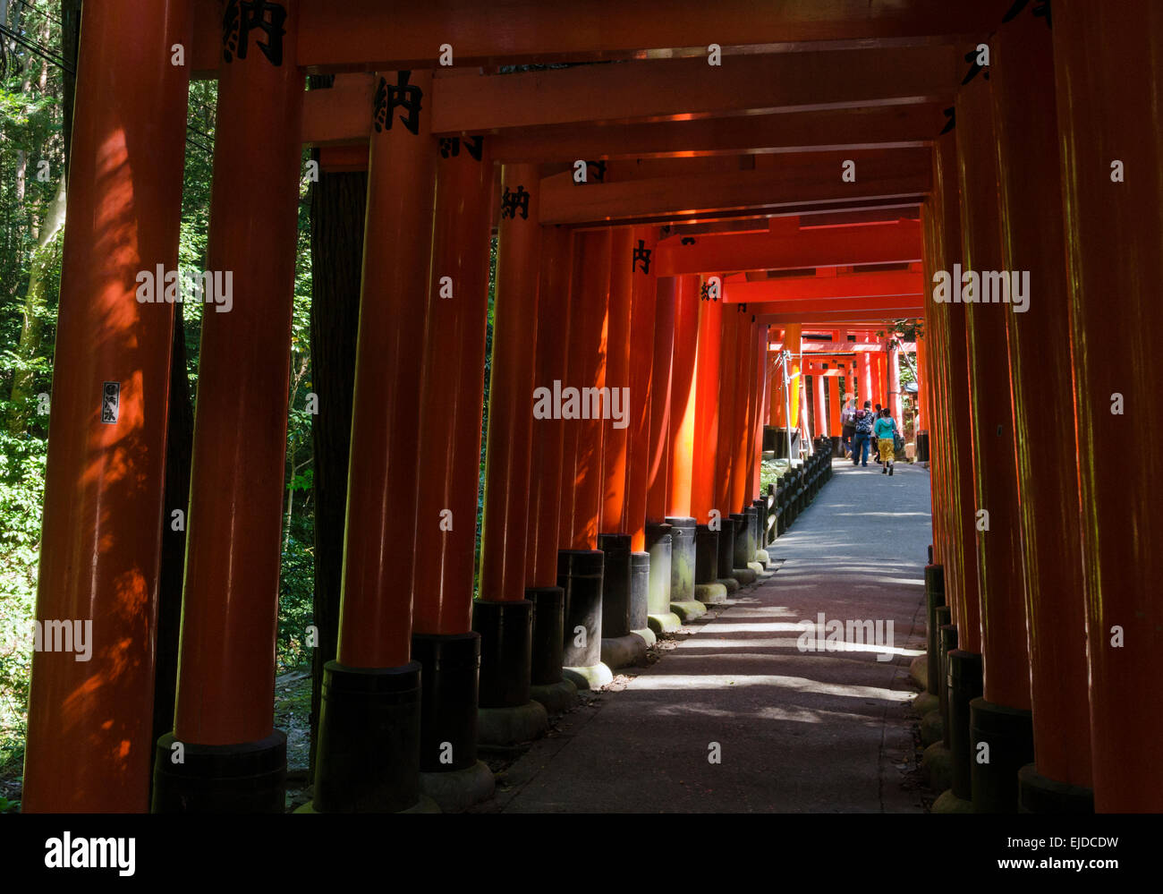 Vermilion torii gates of Fushimi Inari Shrine, Kyoto, Japan Stock Photo ...