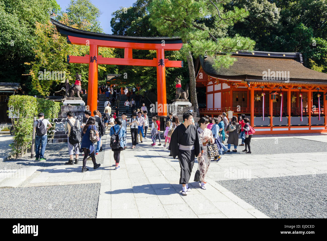 Traditionally dressed couple at the Fushimi Inari Shrine, Kyoto, Japan ...