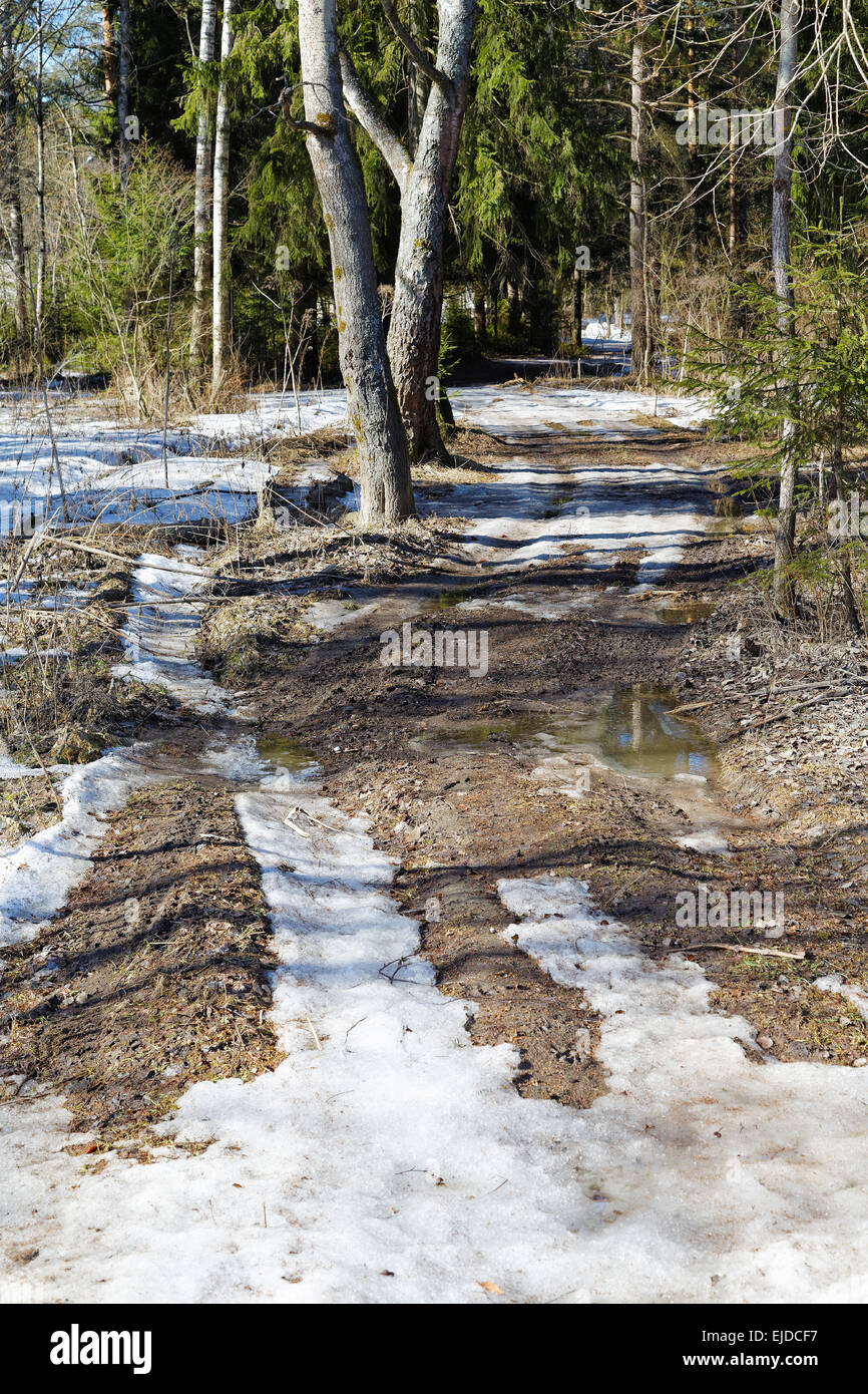 Melting snow in early spring Stock Photo - Alamy