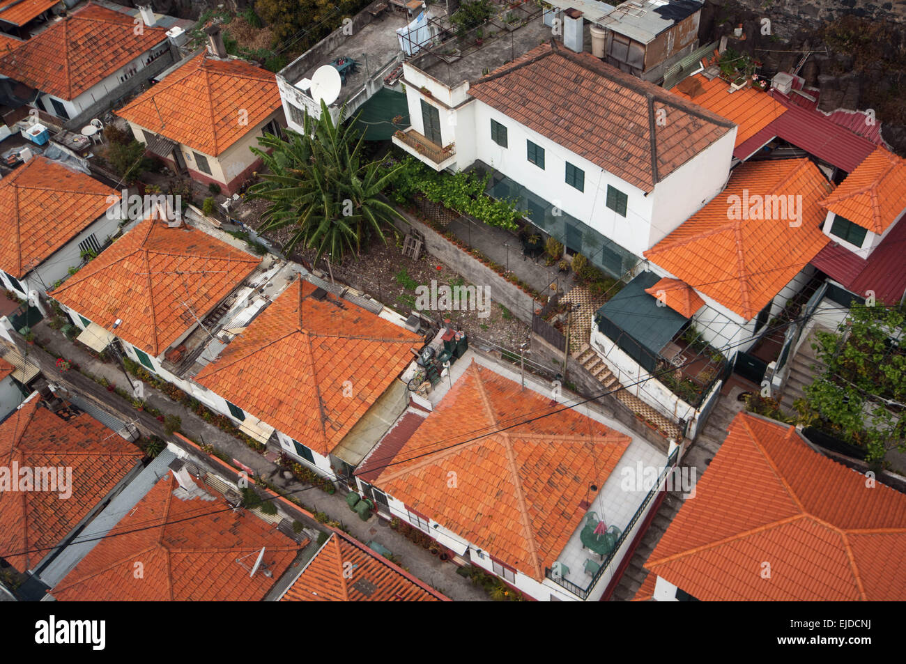 Red rooftops of houses in Funchal from Monte in Madeira Stock Photo - Alamy