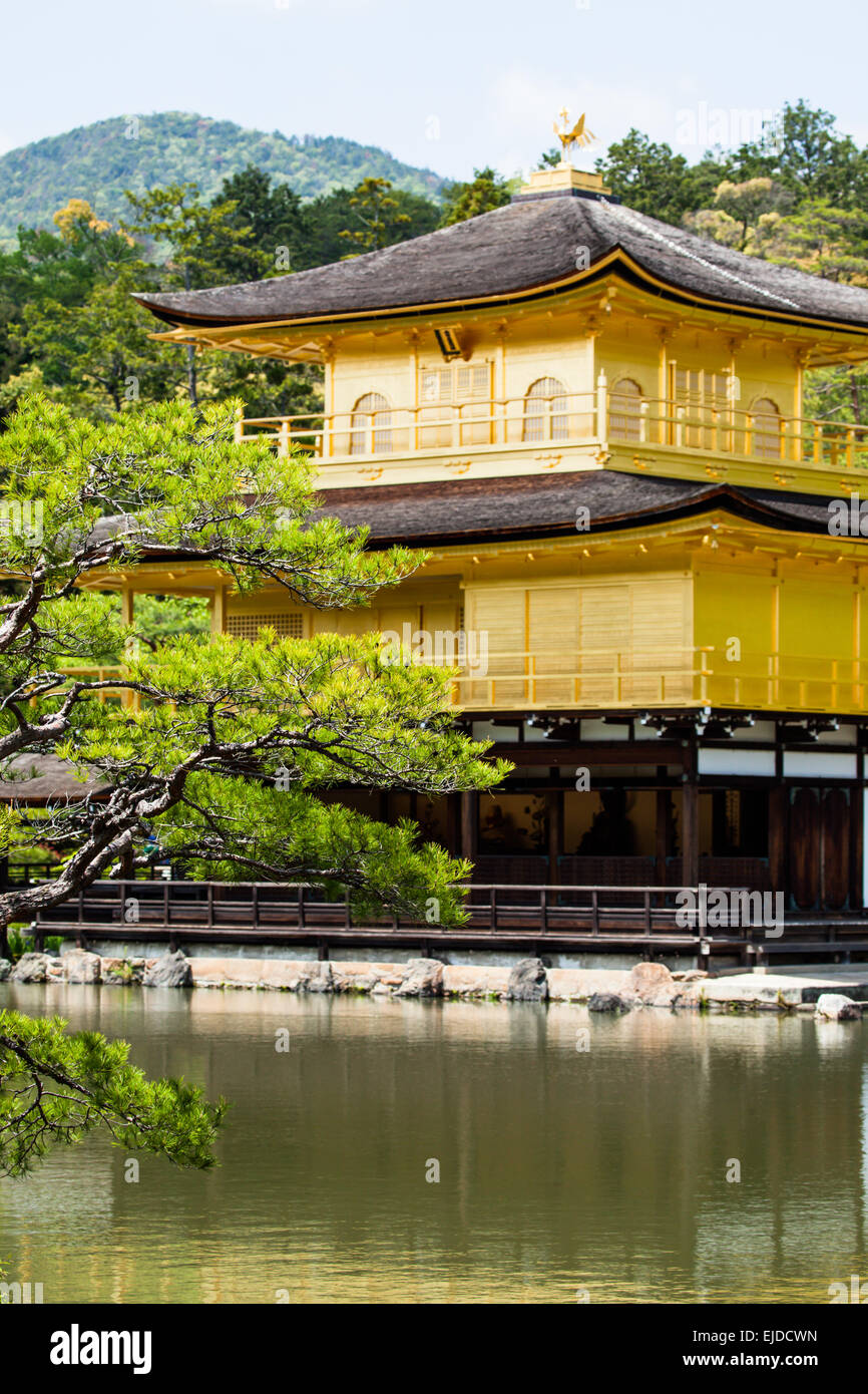 Famous Golden Pavilion Kinkaku-ji in Kyoto Japan Stock Photo - Alamy