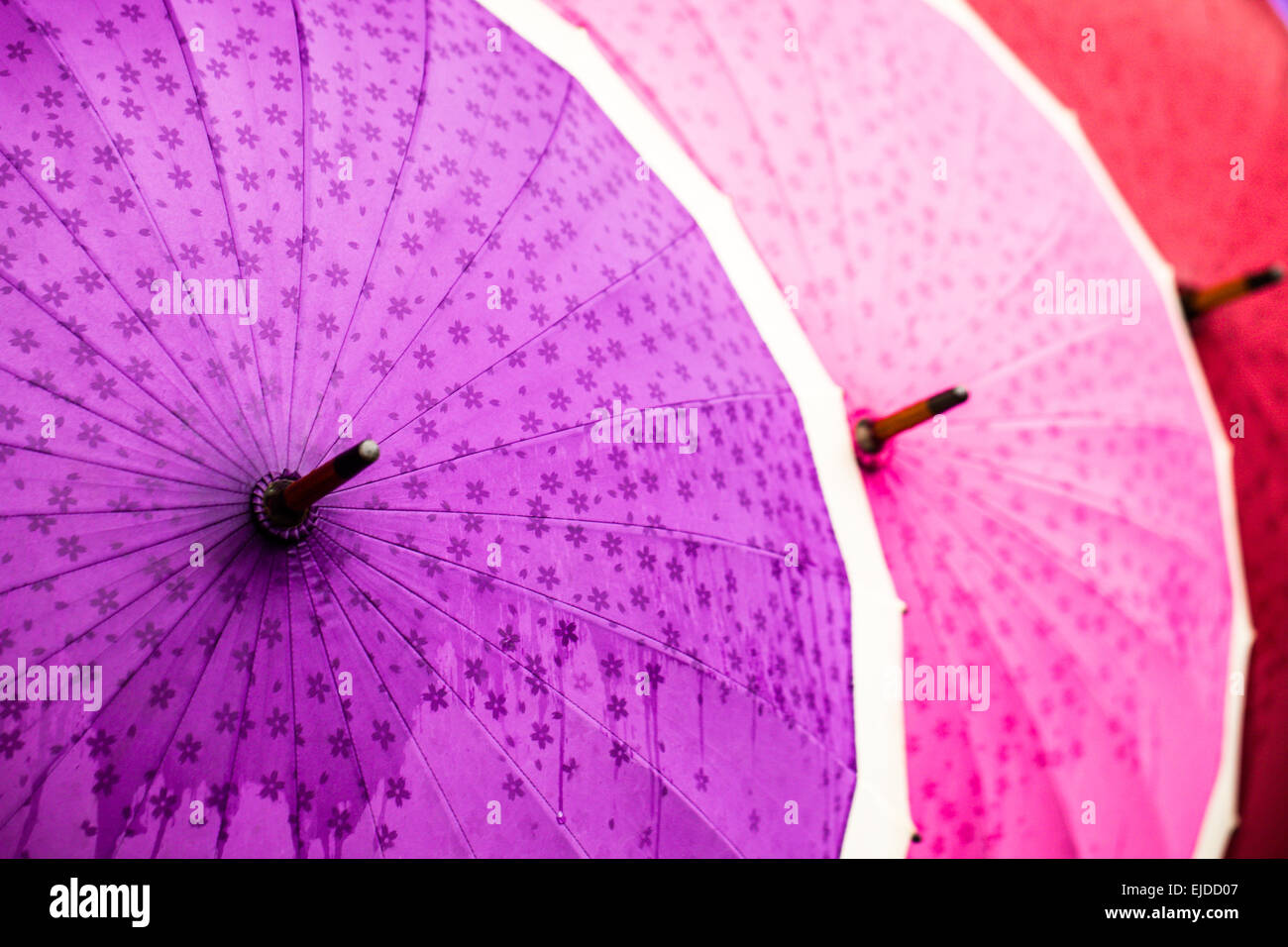 Traditional Asian umbrellas Stock Photo - Alamy
