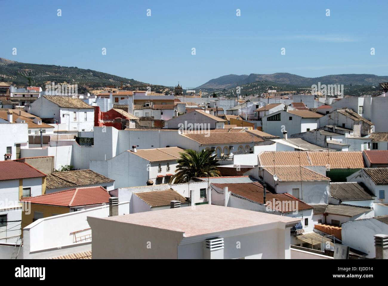 Cabra spain hi-res stock photography and images - Alamy