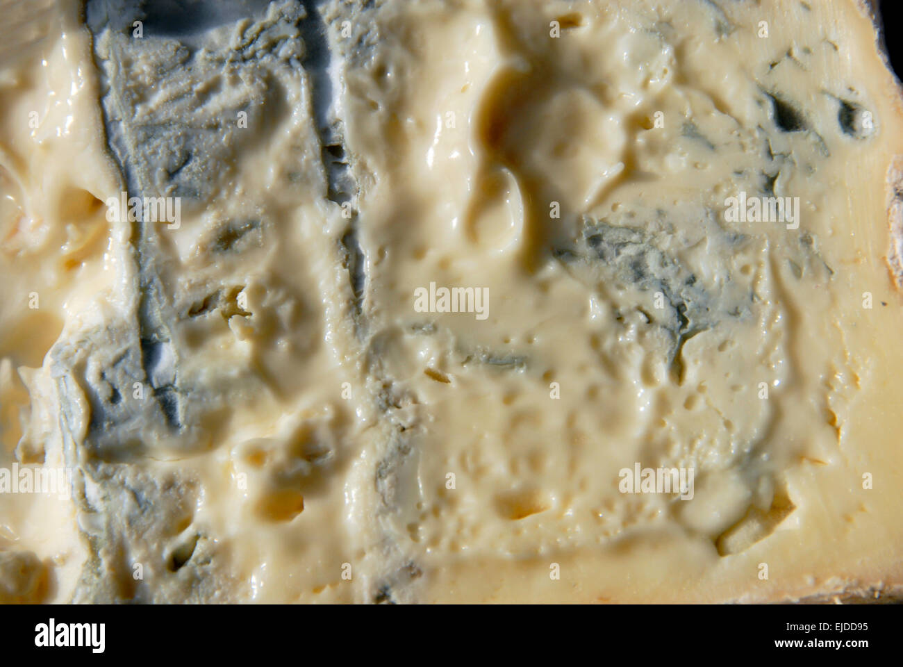 Blue cheese pattern hi-res stock photography and images - Alamy