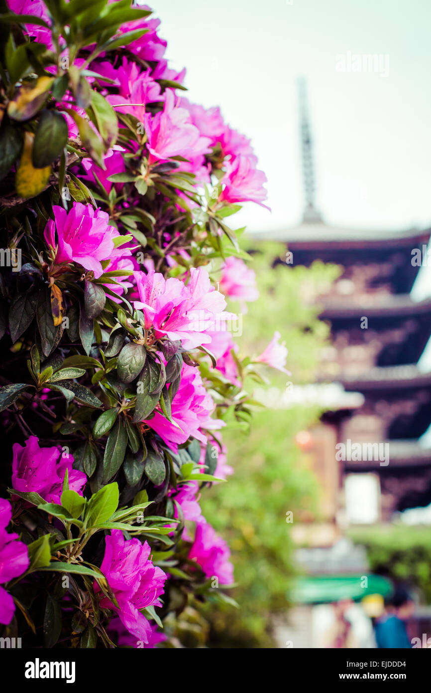 Toji pagoda unesco world hi-res stock photography and images - Alamy