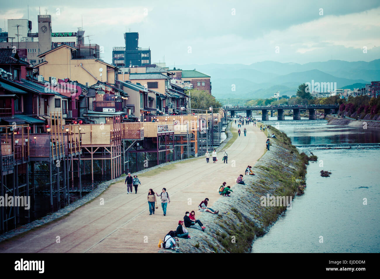 Kamo river in the center of Kyoto in autumn Stock Photo - Alamy