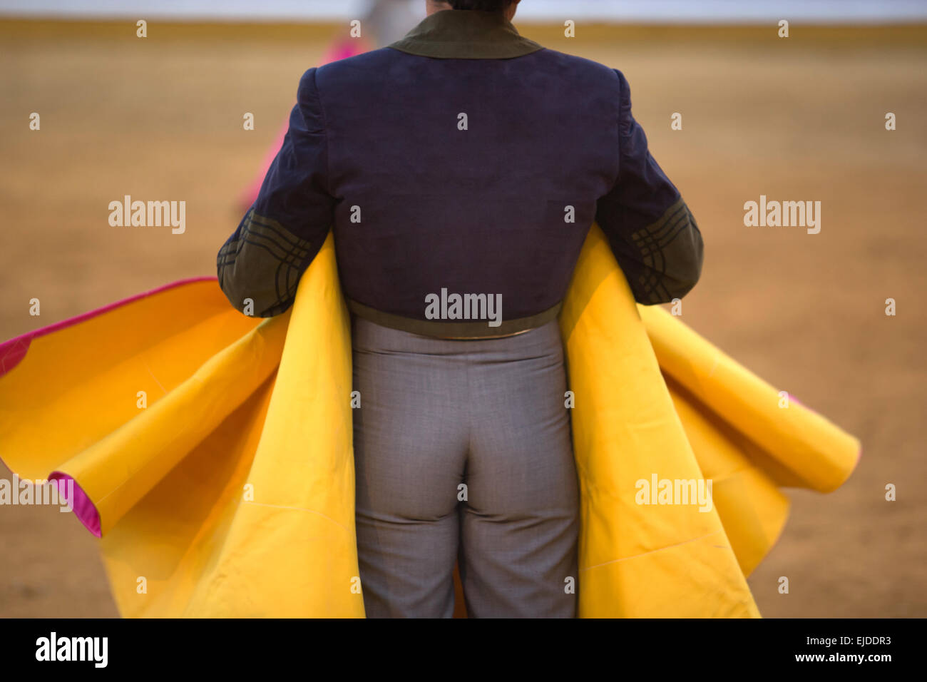 The bullfighter wait the bull charge with the capote during a bullfight ...