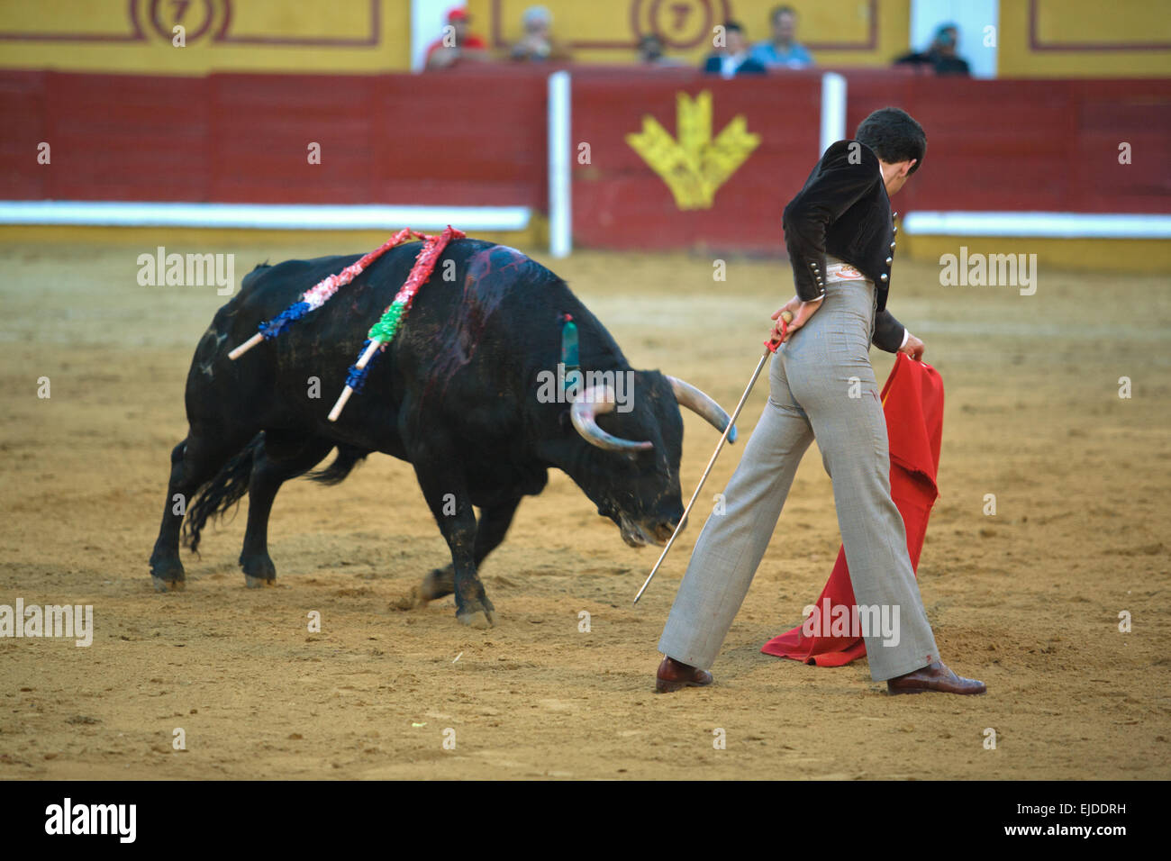 The torero fights in the welfare bullfight, Badajoz, Spain Stock Photo ...