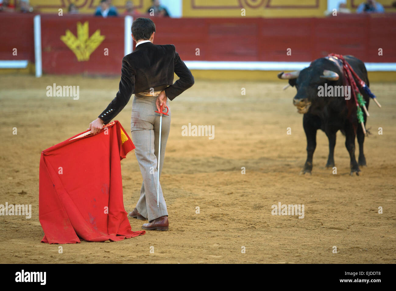Red bull cape hi-res stock photography and images - Alamy