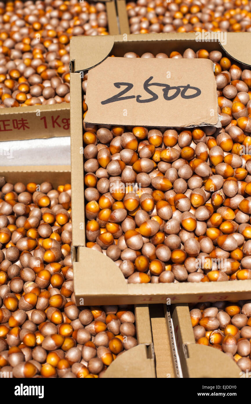 Turkey hazelnuts farm hi-res stock photography and images - Alamy