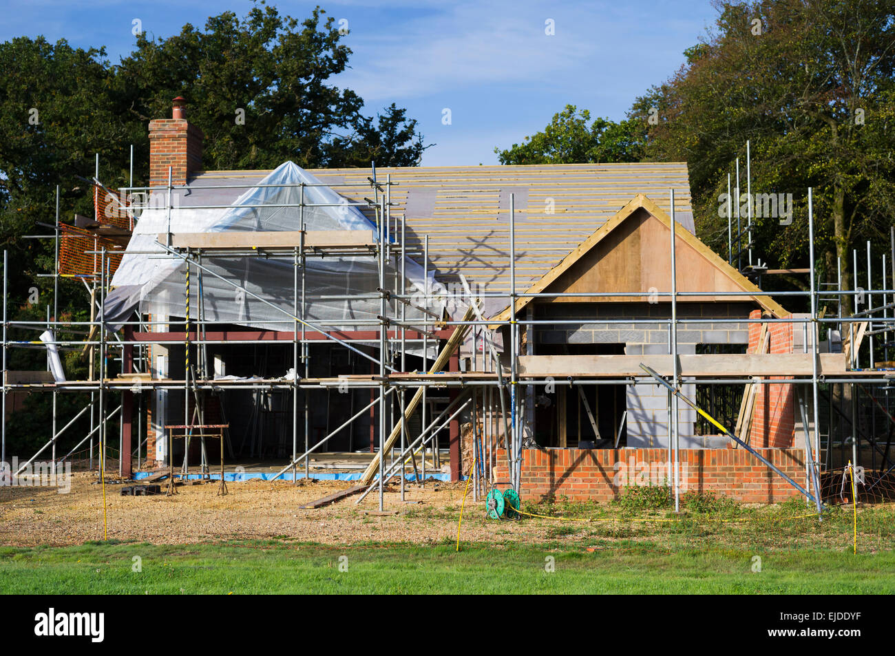 Tree scaffolding hi-res stock photography and images - Alamy
