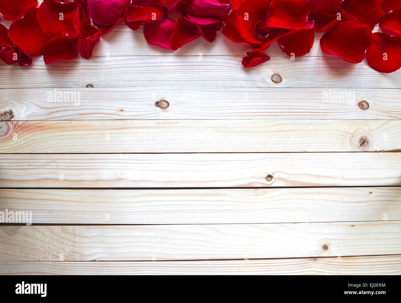 Rose Petals Border Stock Photo - Alamy