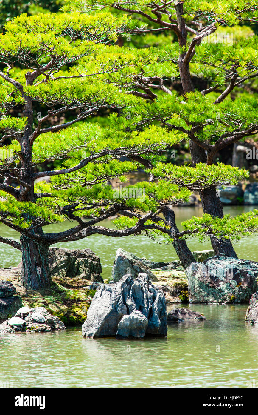 Japanese zen garden in kinkakuji temple park, Kyoto Stock Photo - Alamy