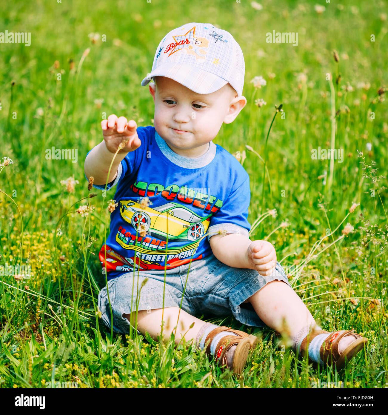Happy Little Boy Child Sit In Green Grass Meadow, Park, Summer Sunny ...