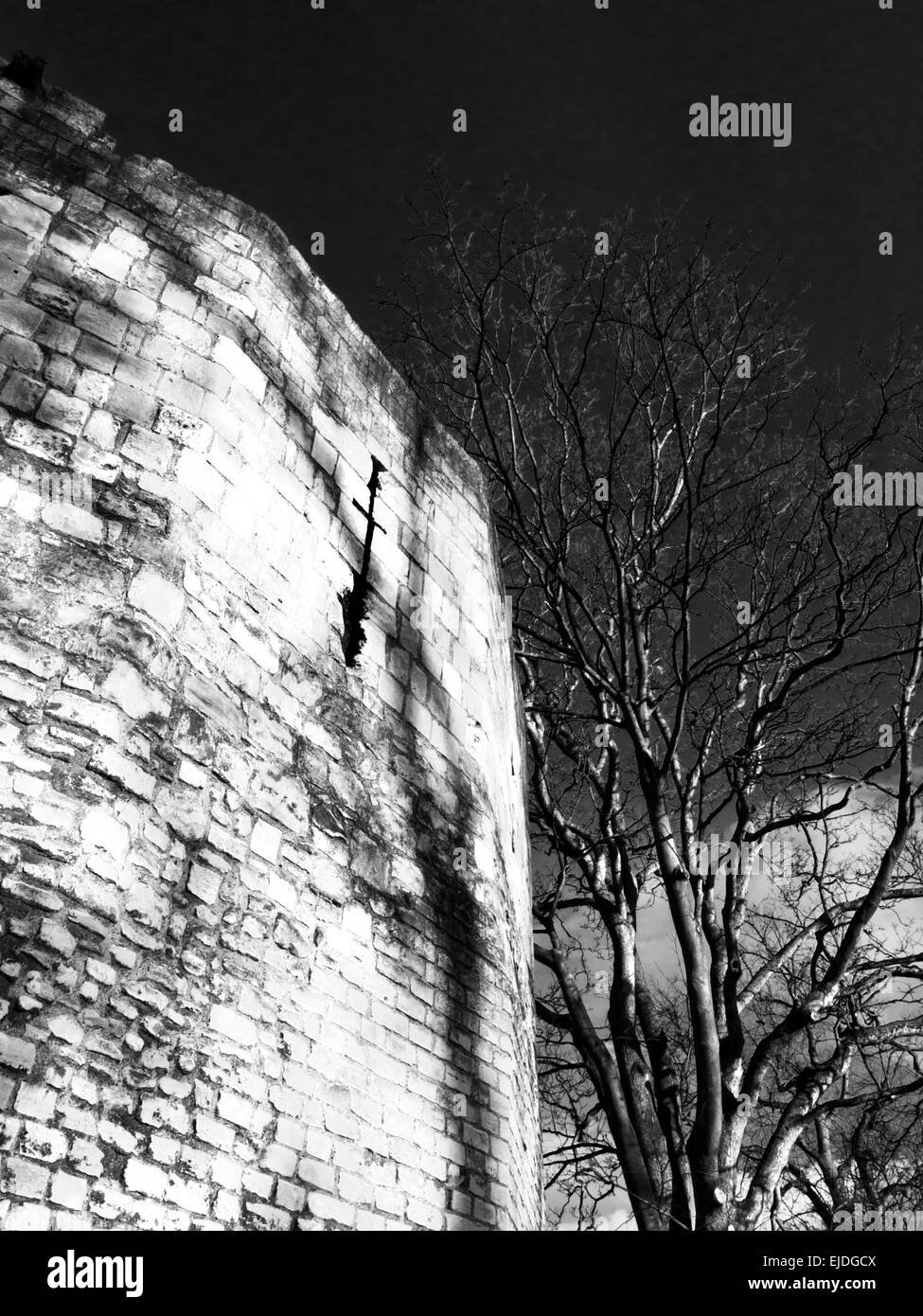 The Multangular Tower Museum Gardens York York North Yorkshire England ...