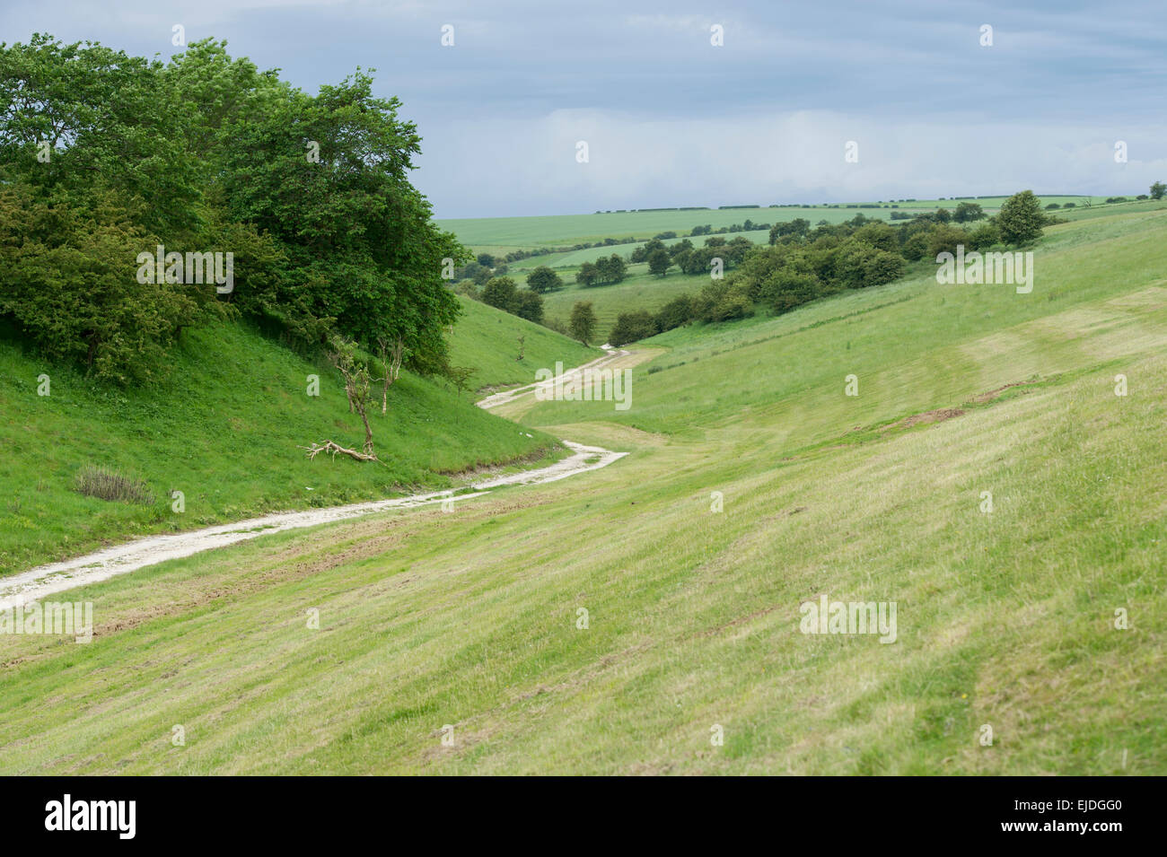 A green valley in the Yorkshire Wolds just outside Thixendale in East ...