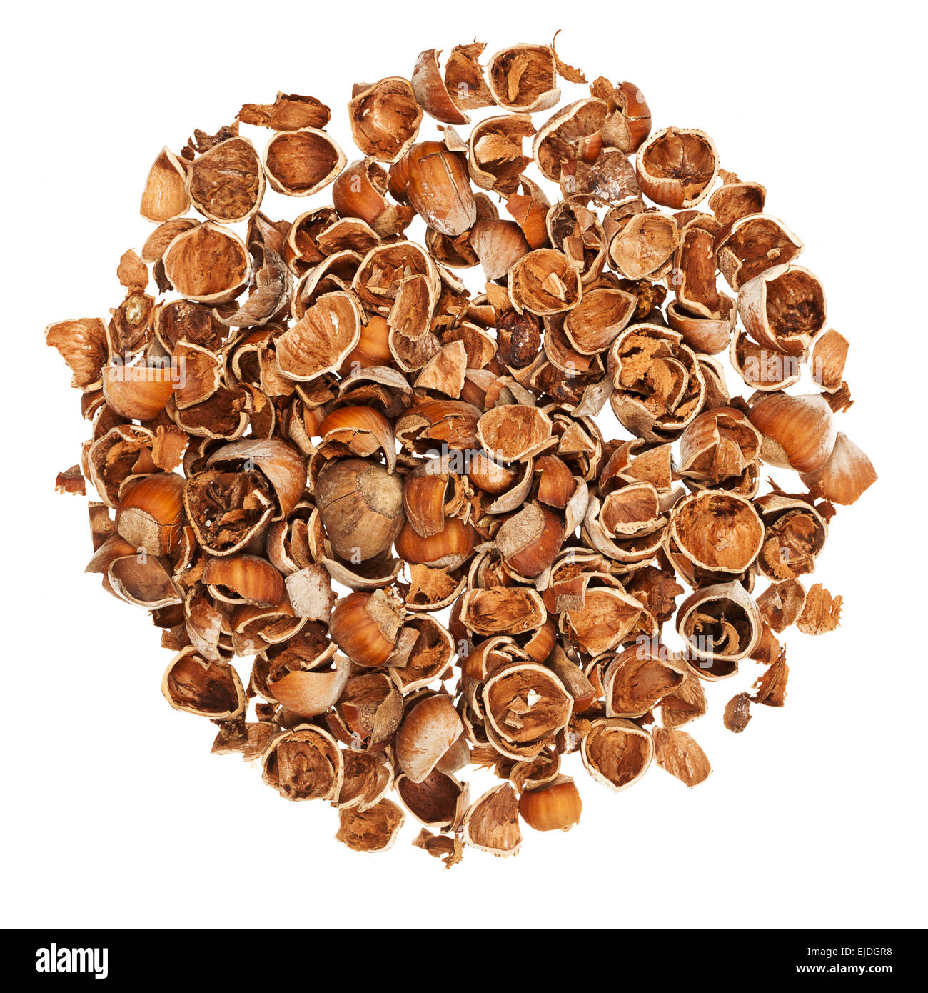 Pile of empty nutshells isolated on white background Stock Photo - Alamy