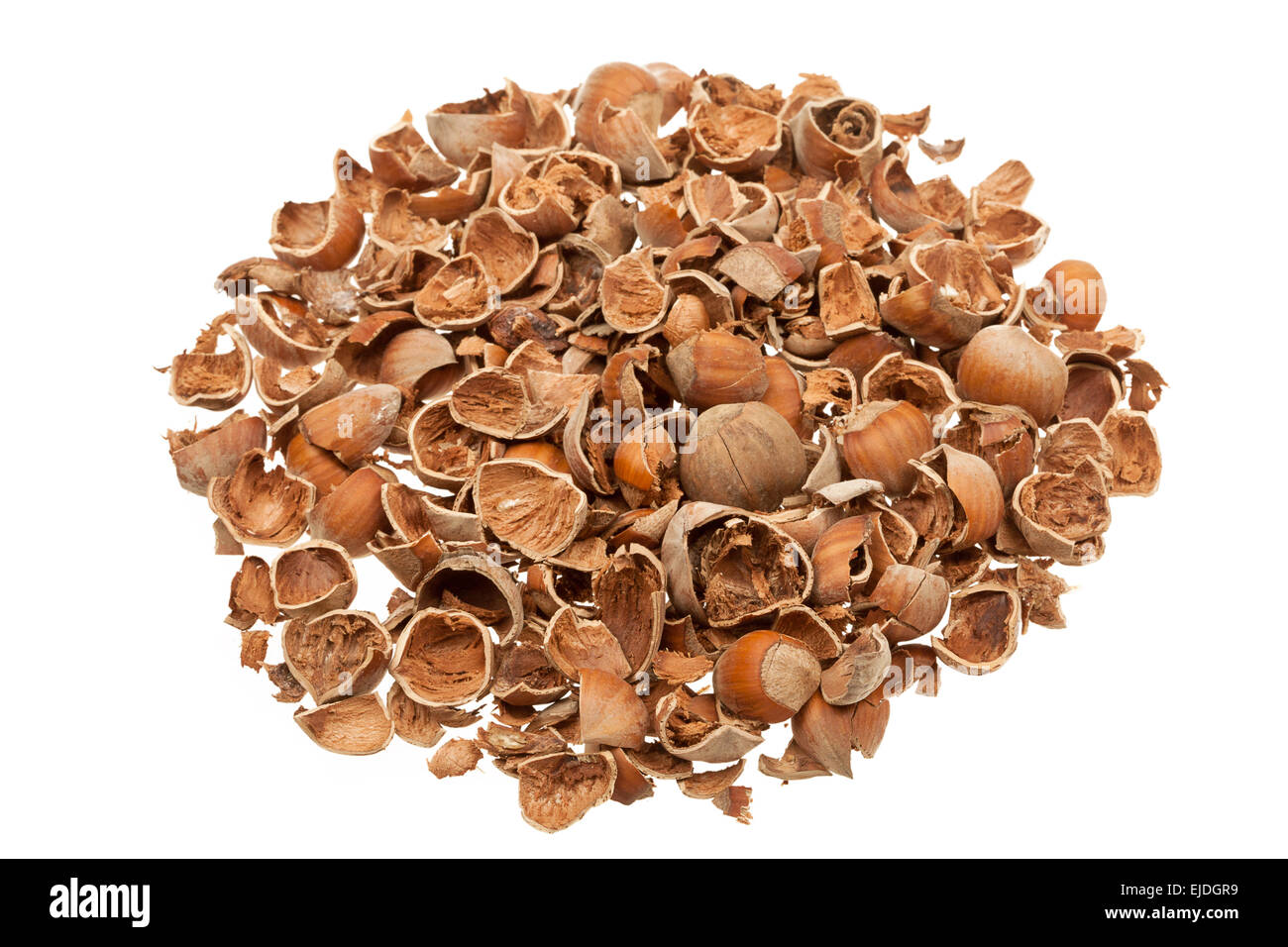 Pile of empty nutshells isolated on white background Stock Photo - Alamy