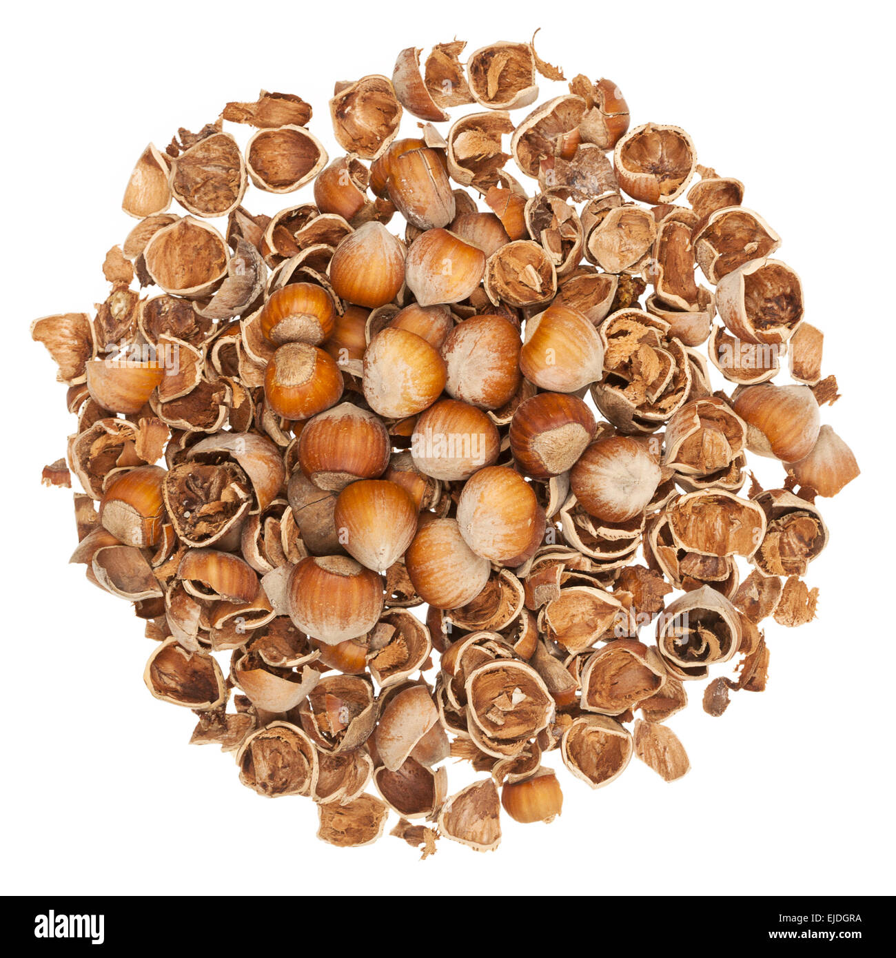 Hazelnuts and empty nutshells isolated on white background Stock Photo ...