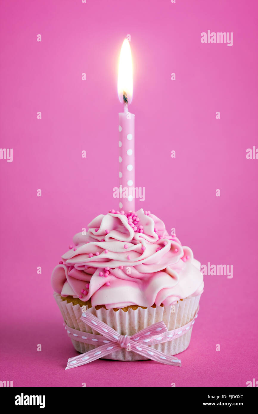 Cup cake, chocolate cake, Human food, World Food, Green Food, Chocolate ...