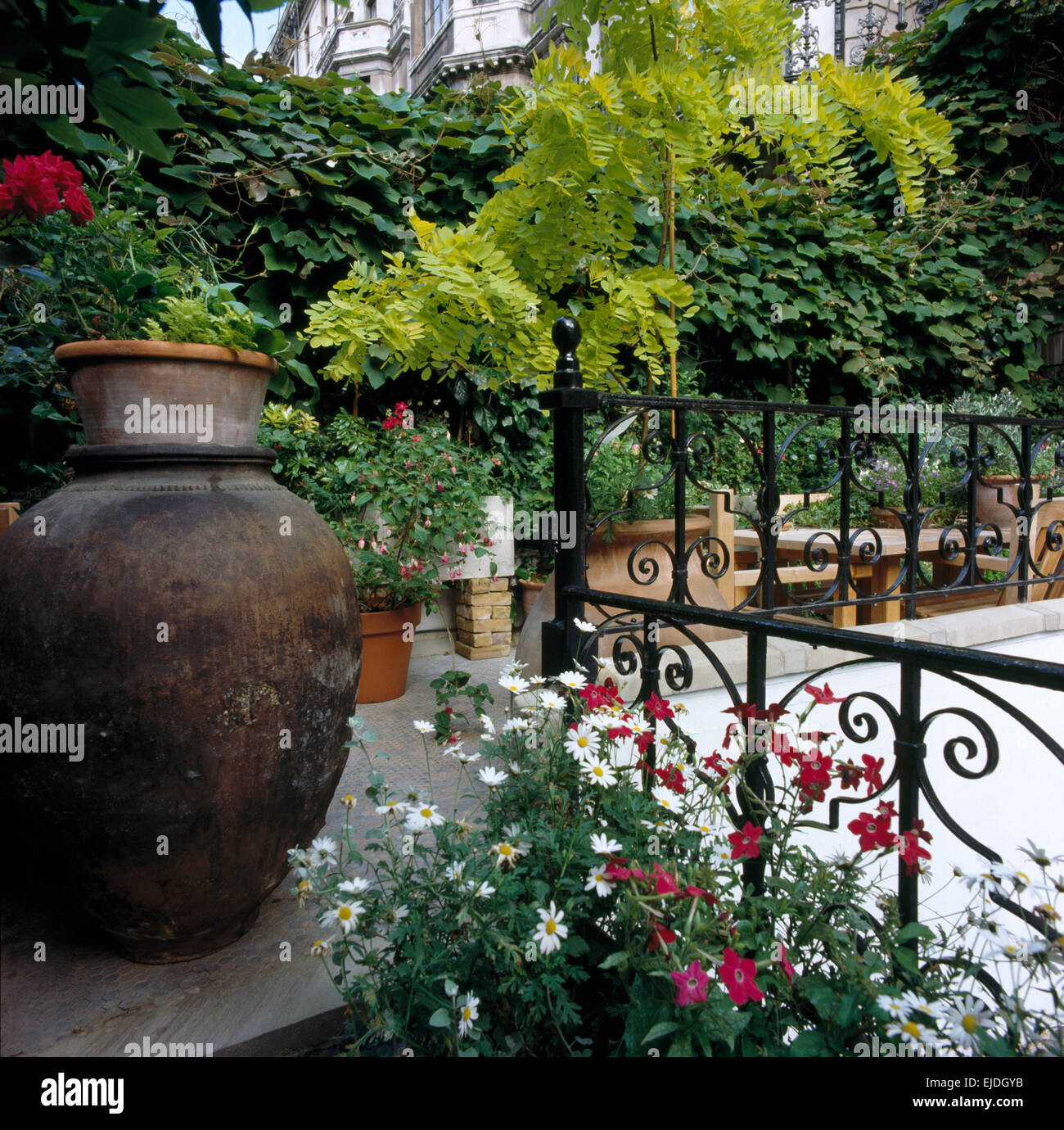 Large terracotta pot garden hi-res stock photography and images - Alamy